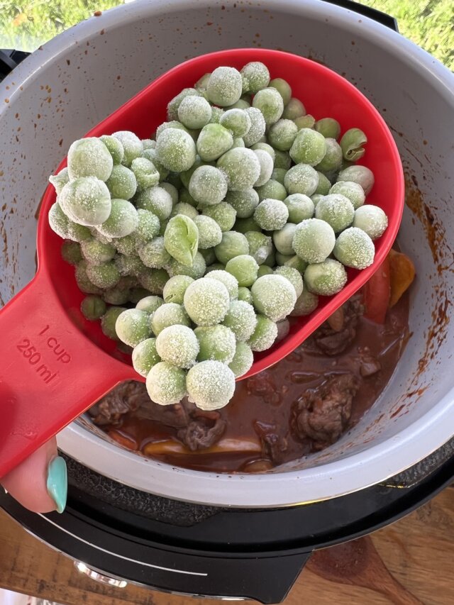 Goat Stew In Slow Cooker | Recipe This