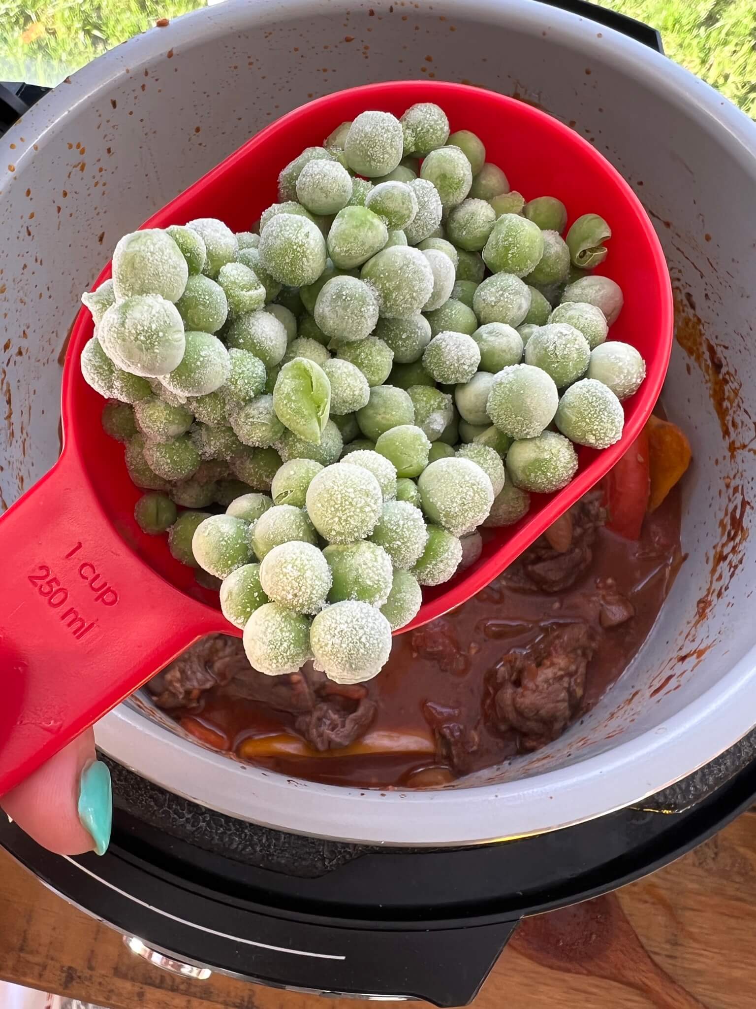 Goat Stew In Slow Cooker | Recipe This