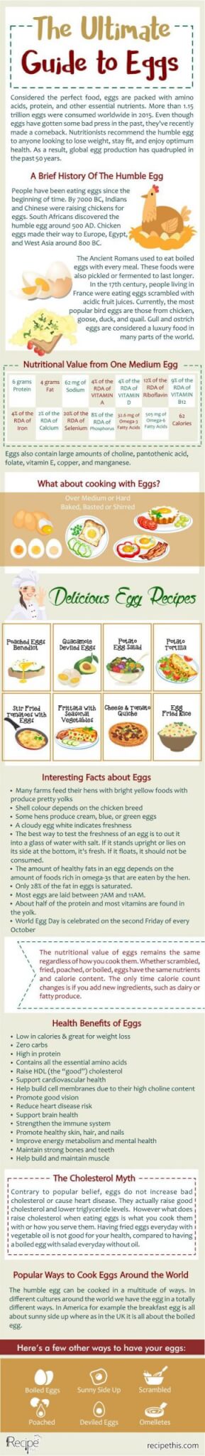 The ultimate guide to eggs stages | Recipe This