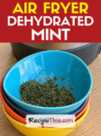Dried Mint In Air Fryer | Recipe This