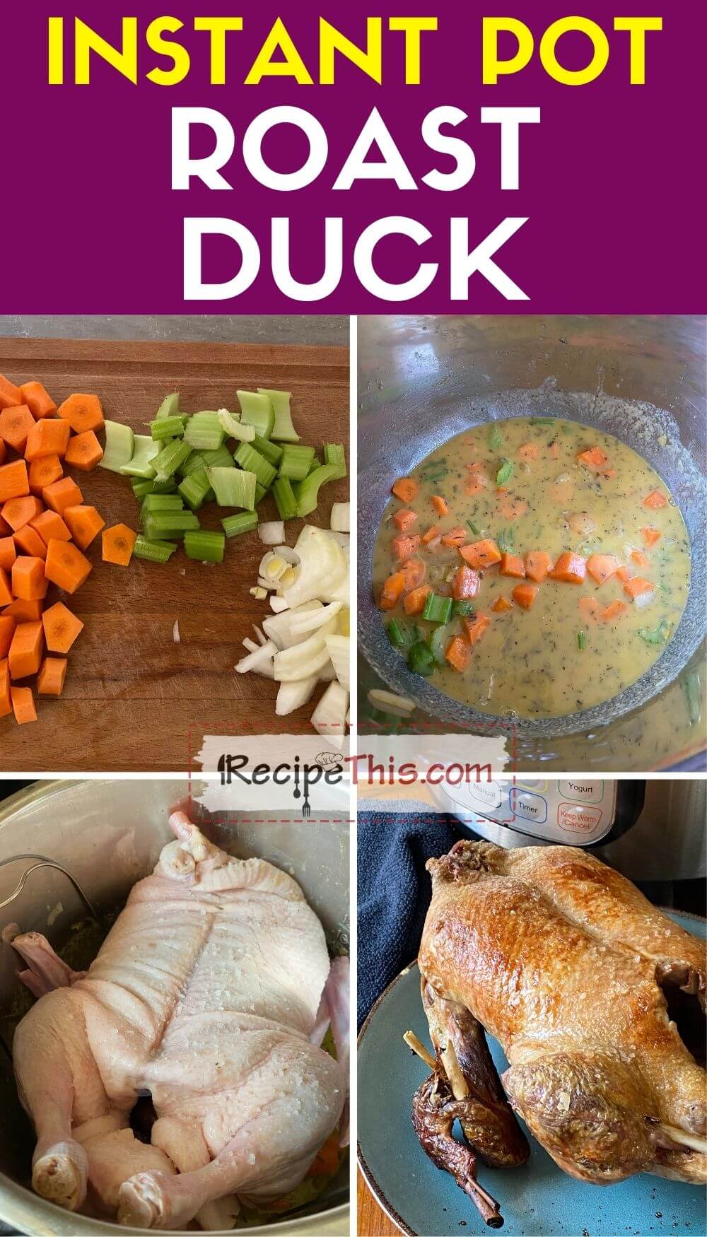 Instant Pot Roast Duck | Recipe This